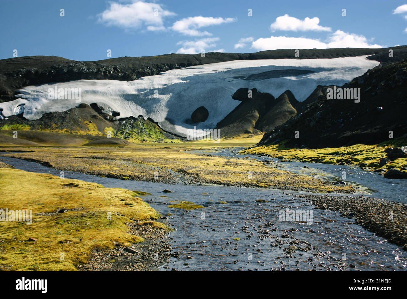 Landscape with moss and snow in Iceland. Mountain tourism Stock Photo ...