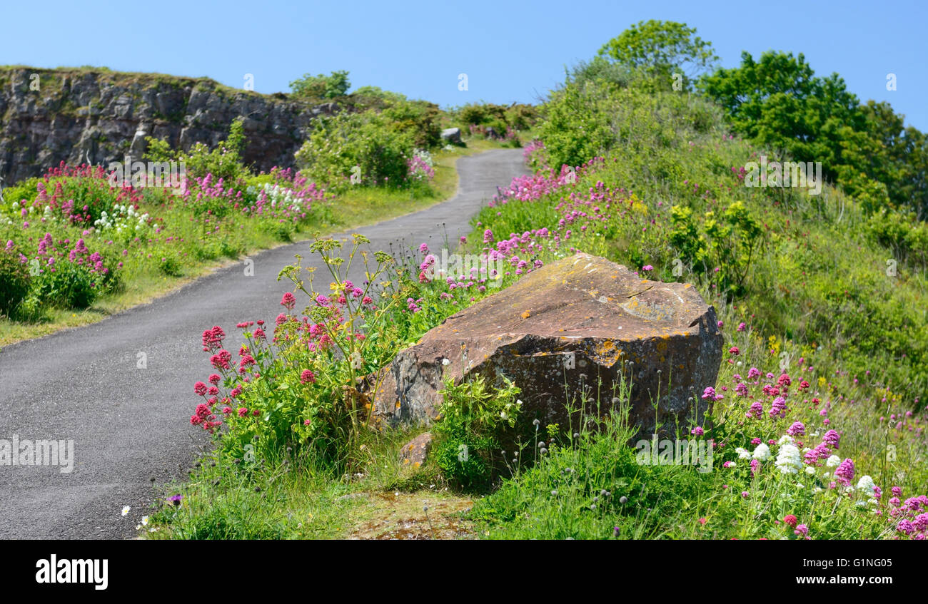 Berry head rocks hi-res stock photography and images - Alamy