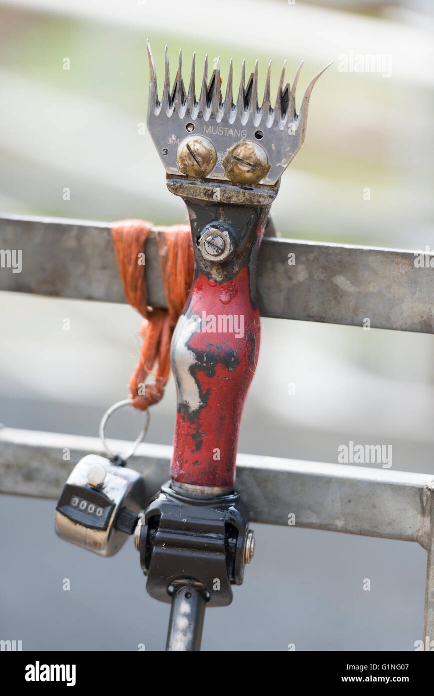 Sheep shearing clippers on a fence ready to be used Stock Photo - Alamy