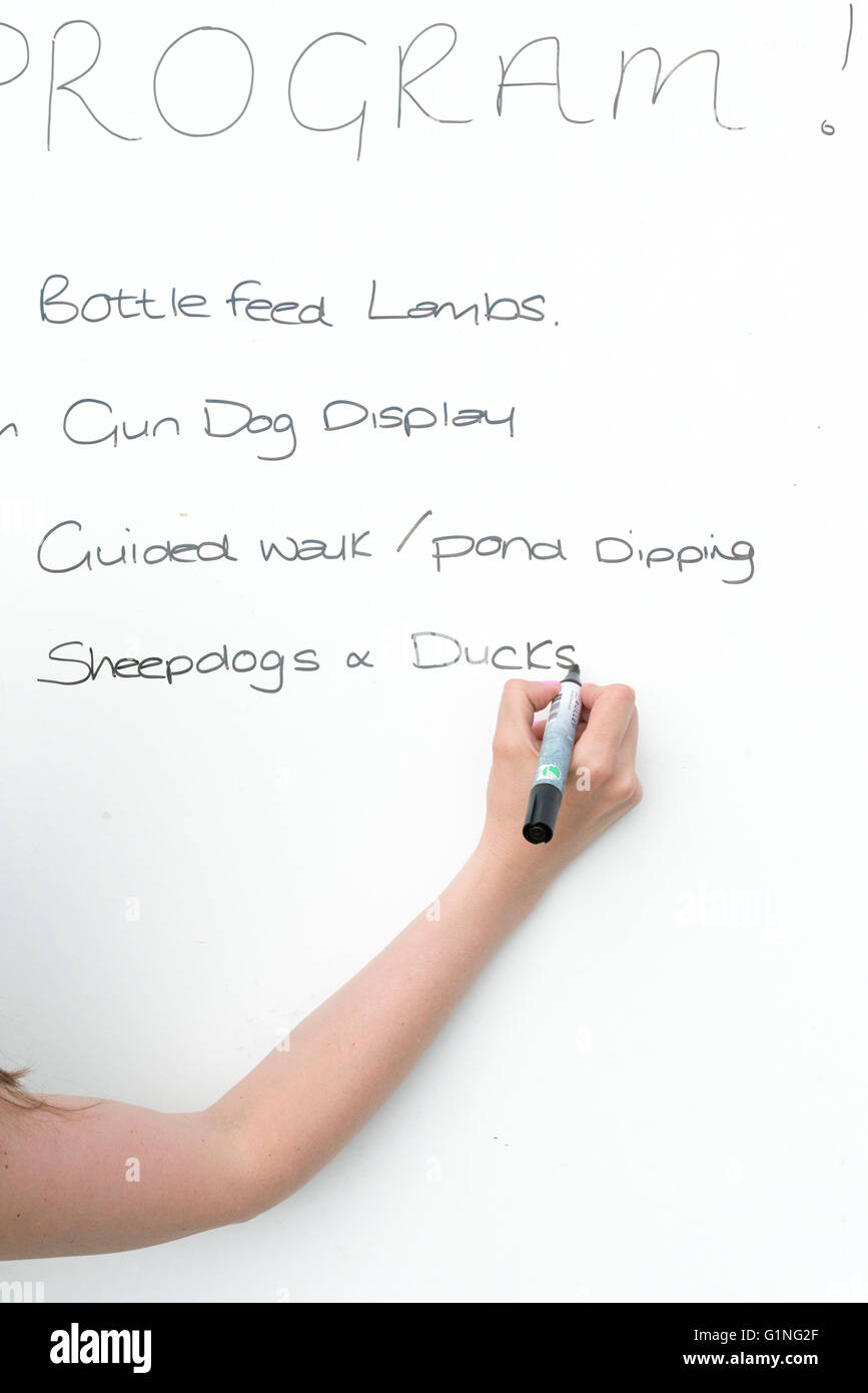 A woman's hand writing an event programme sign on a whiteboard Stock ...