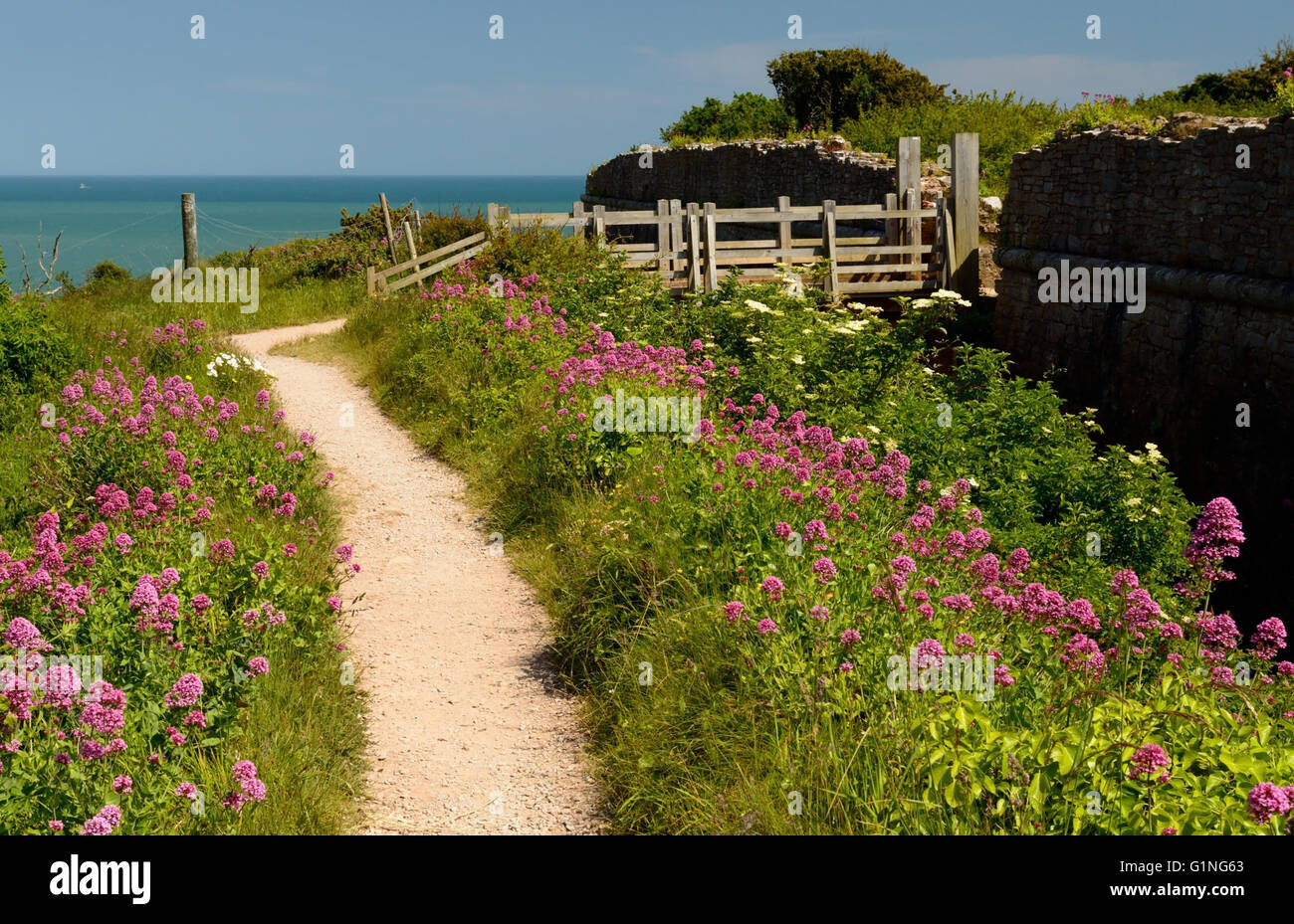 Berry head fort hi-res stock photography and images - Alamy
