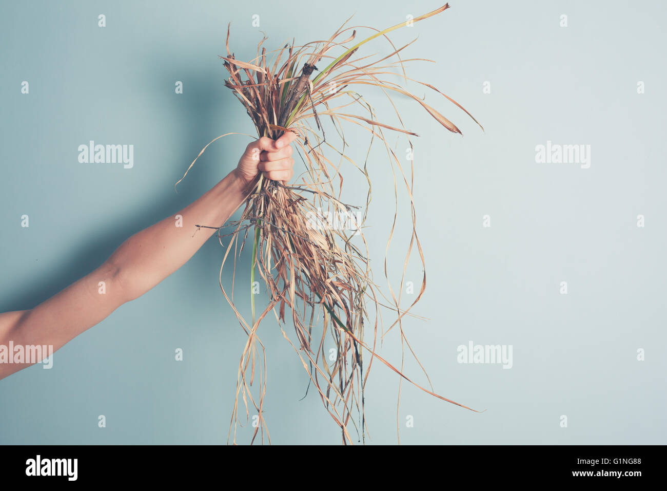Hand weed hi-res stock photography and images - Alamy