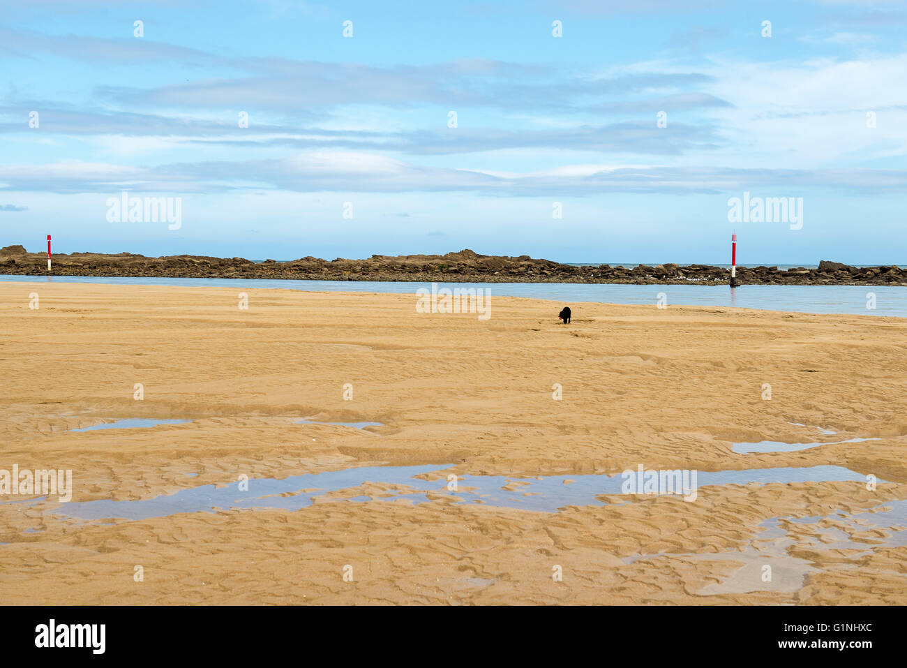 Australian beach in the height of Summer Stock Photo - Alamy