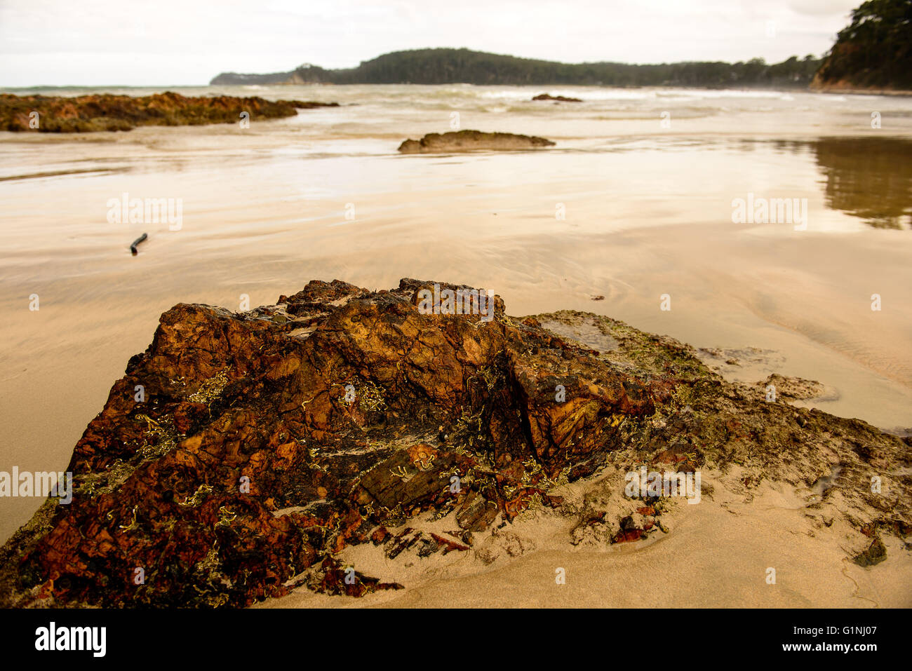 Rock Formations of the South Coast of NSW Australia Stock Photo - Alamy