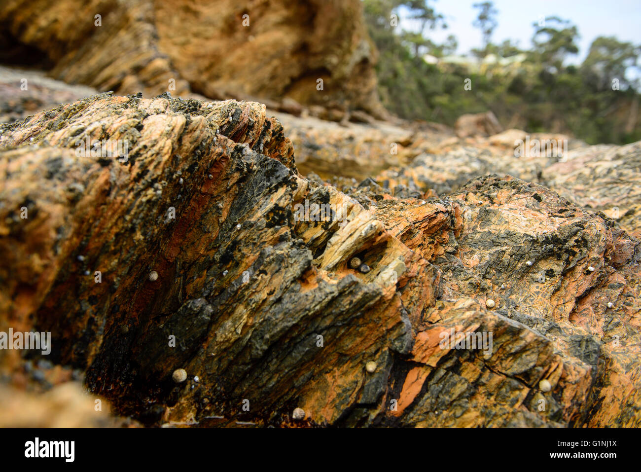 Rock Formations of the South Coast of NSW Australia Stock Photo - Alamy