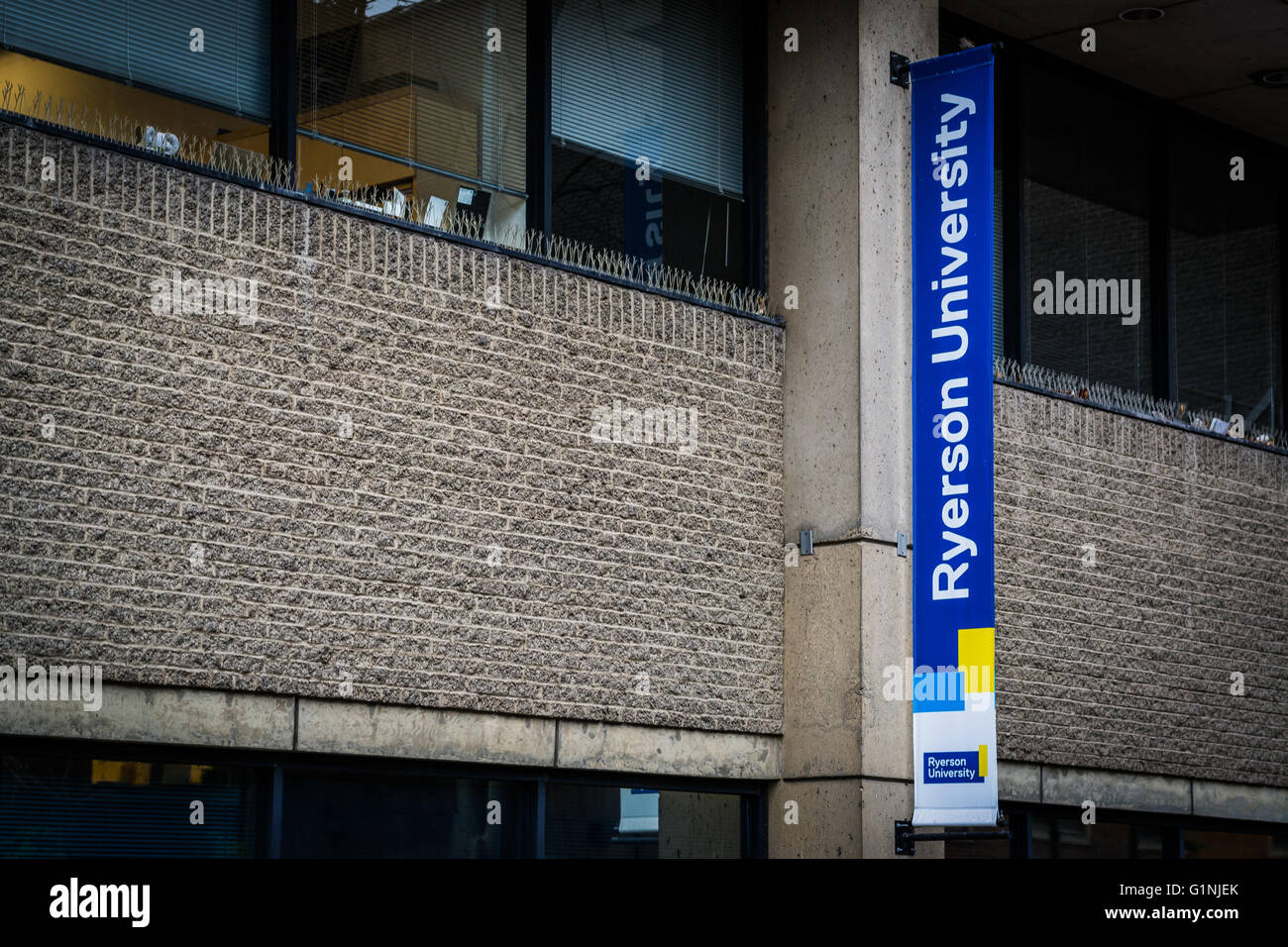 Ryerson college toronto hi-res stock photography and images - Alamy