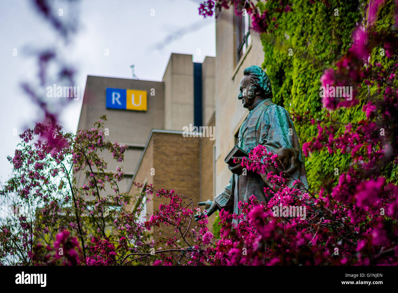 Spring color and statue of Ecerton Ryerson, at Ryerson University, in ...