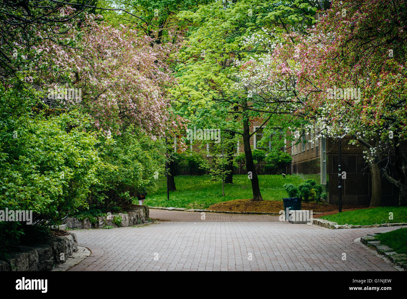 Ryerson university buildings hi-res stock photography and images - Alamy