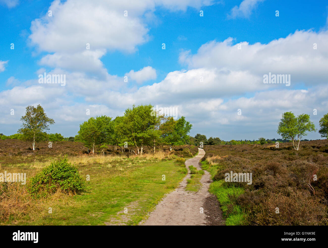 Dunwich Heath, Suffolk, England UK Stock Photo - Alamy