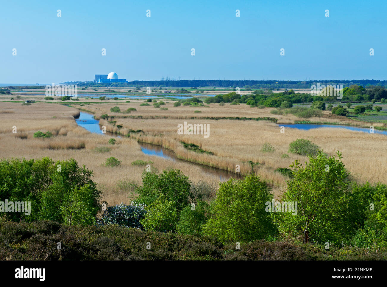 Minsmere nature reserve High Resolution Stock Photography and Images ...