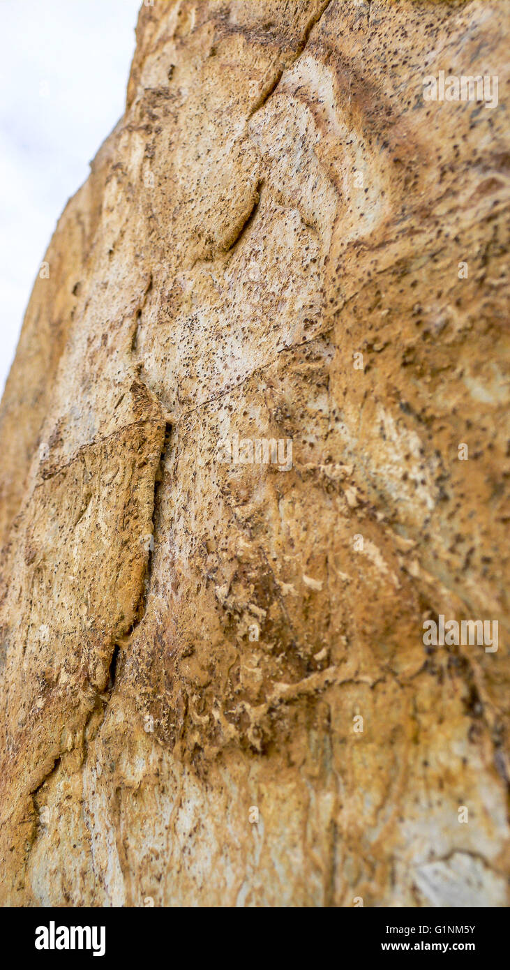 brown sedimentary rocks on the sand beach Stock Photo - Alamy