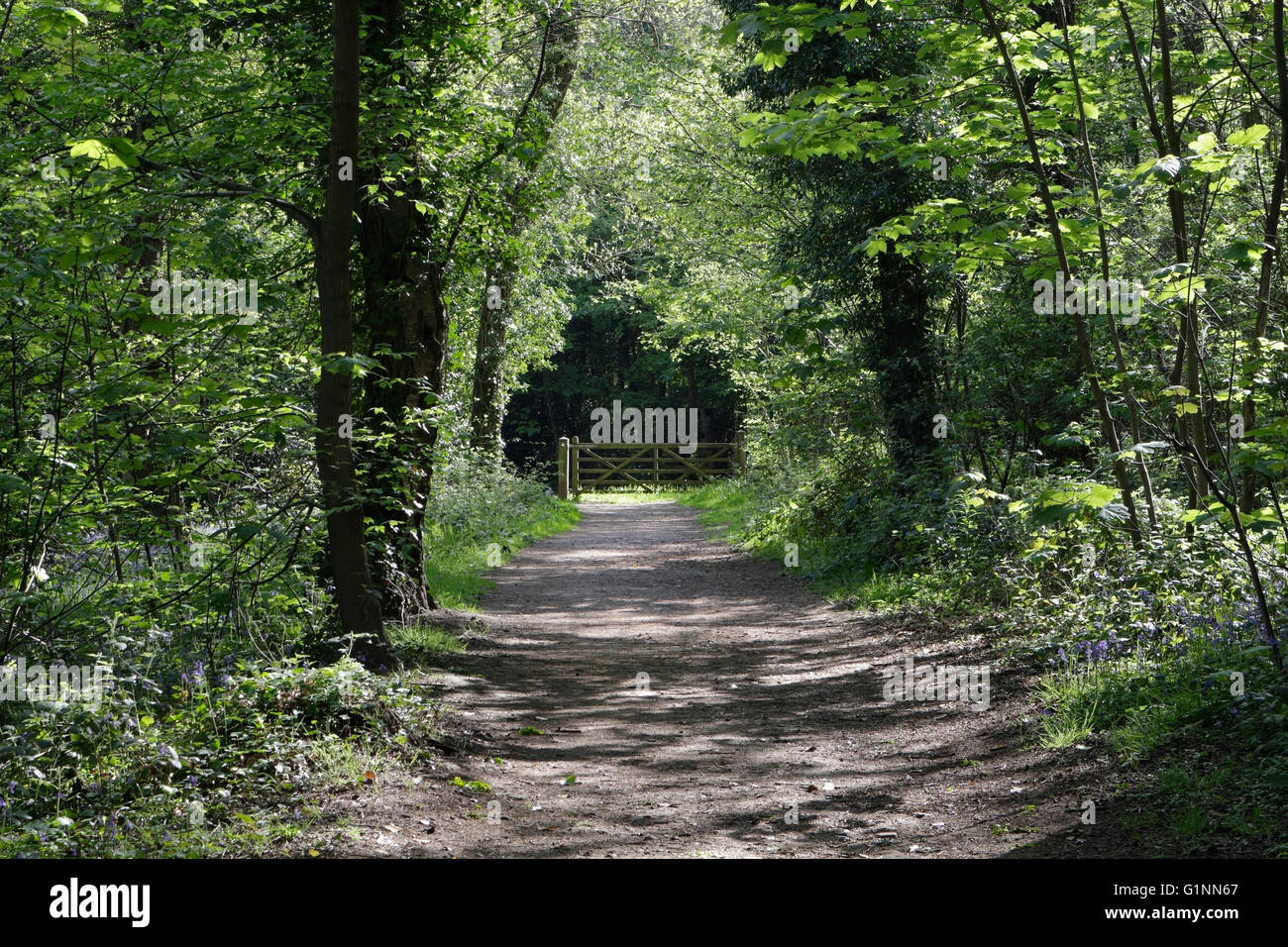 Wooden gate at end of path in Ecclesall Woods in Sheffield England ...