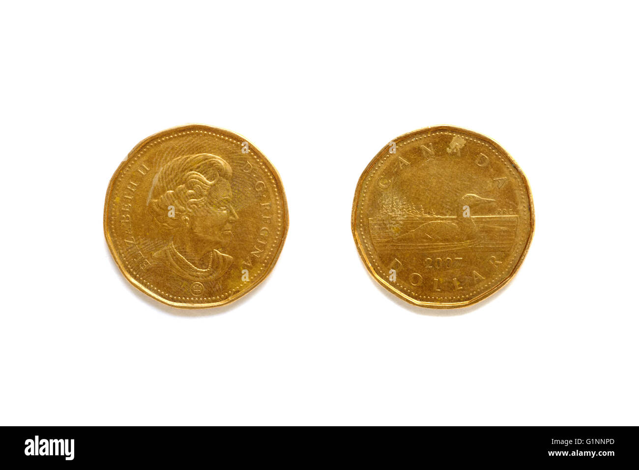 The front and back of a Canadian One Dollar coin photographed against a ...
