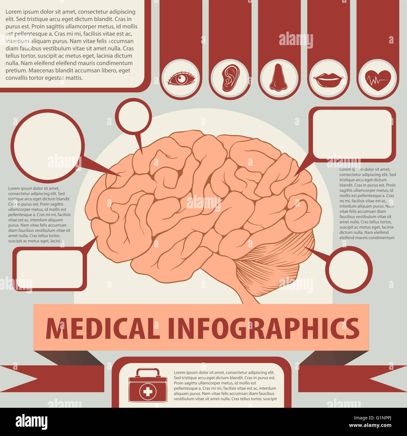 Medical infographics with brain and text illustration Stock Vector ...
