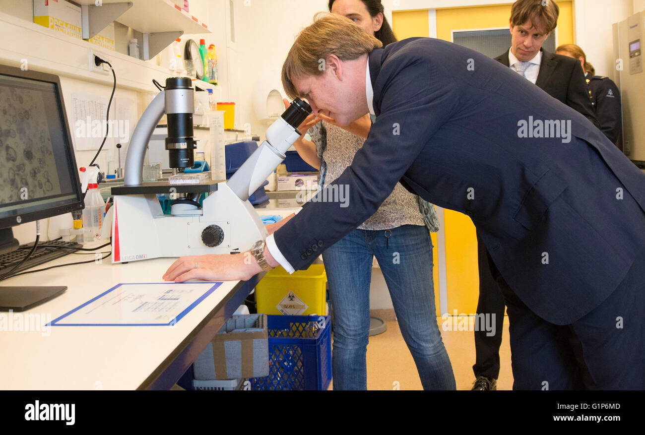 Hubrecht institute hi-res stock photography and images - Alamy