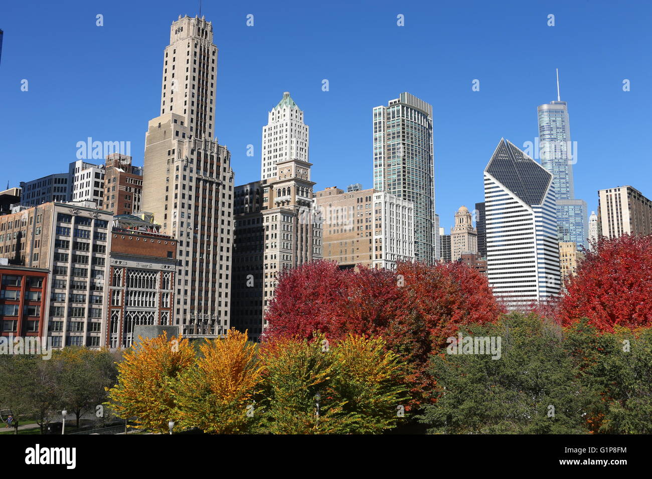 Chicago skyline during sunny hi-res stock photography and images - Alamy