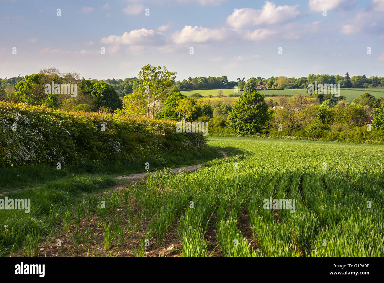 Markyate village hi-res stock photography and images - Alamy