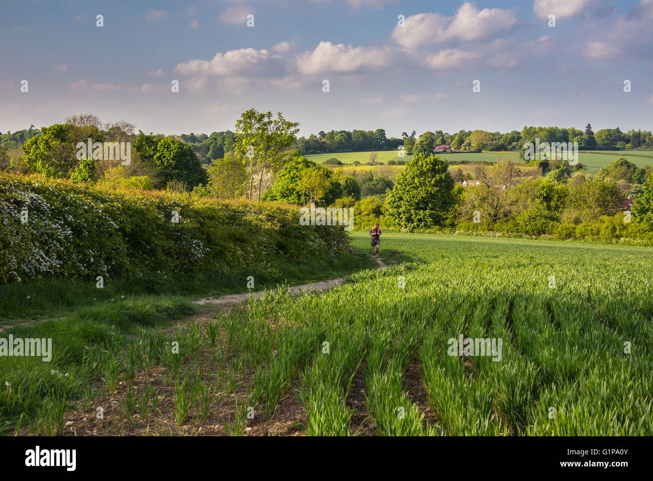 A Stroll In the Country Stock Photo - Alamy