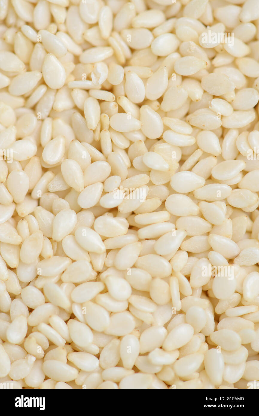 white sesame seeds Stock Photo - Alamy