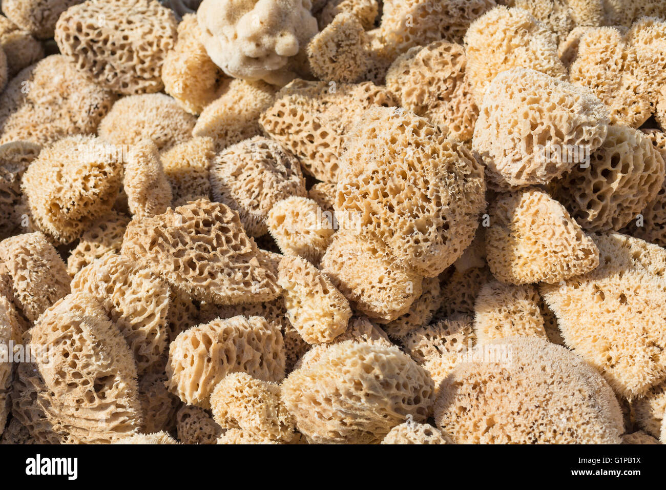 Deep sea sponge greece hi-res stock photography and images - Alamy