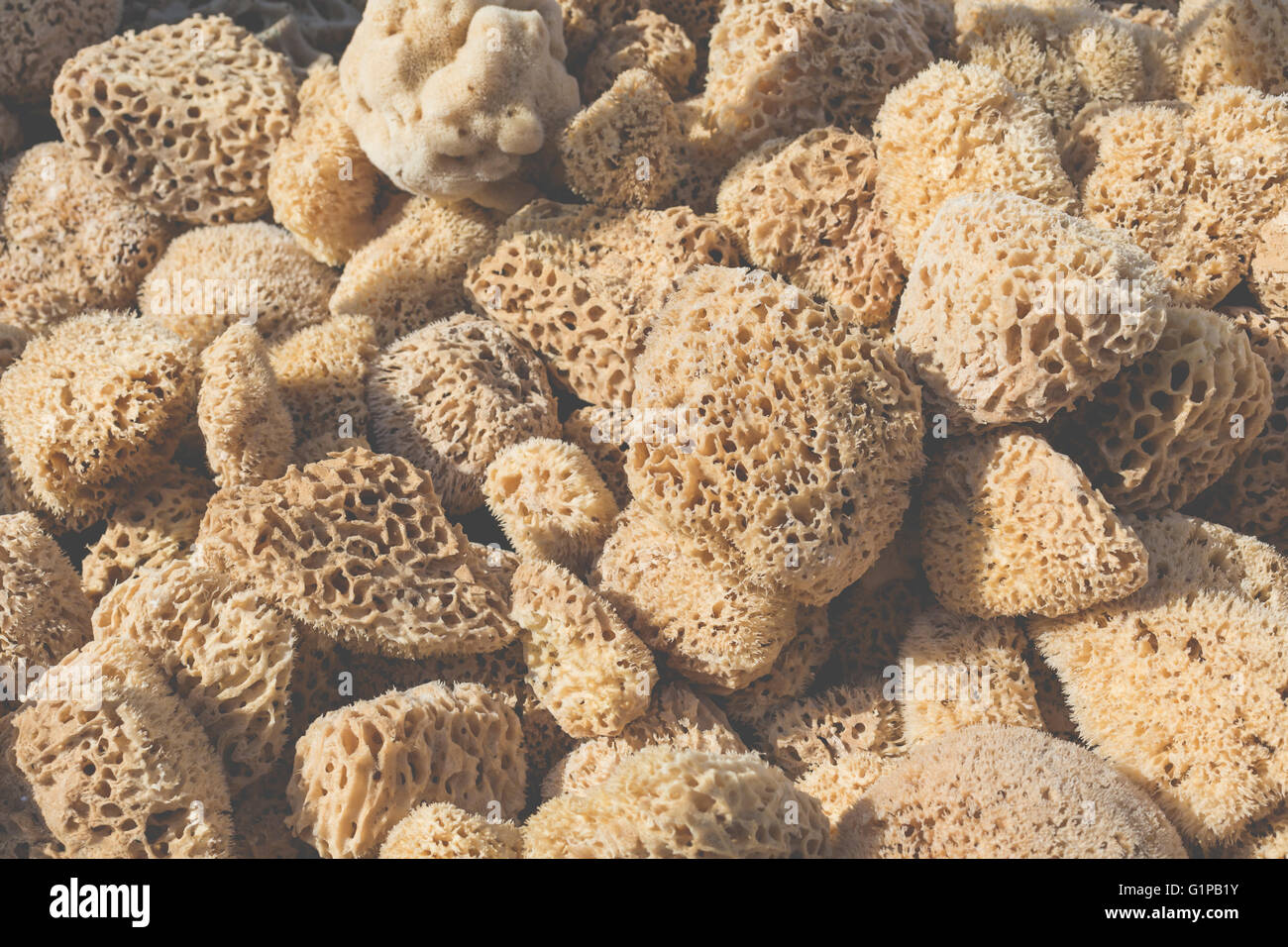 Deep sea sponge greece hi-res stock photography and images - Alamy