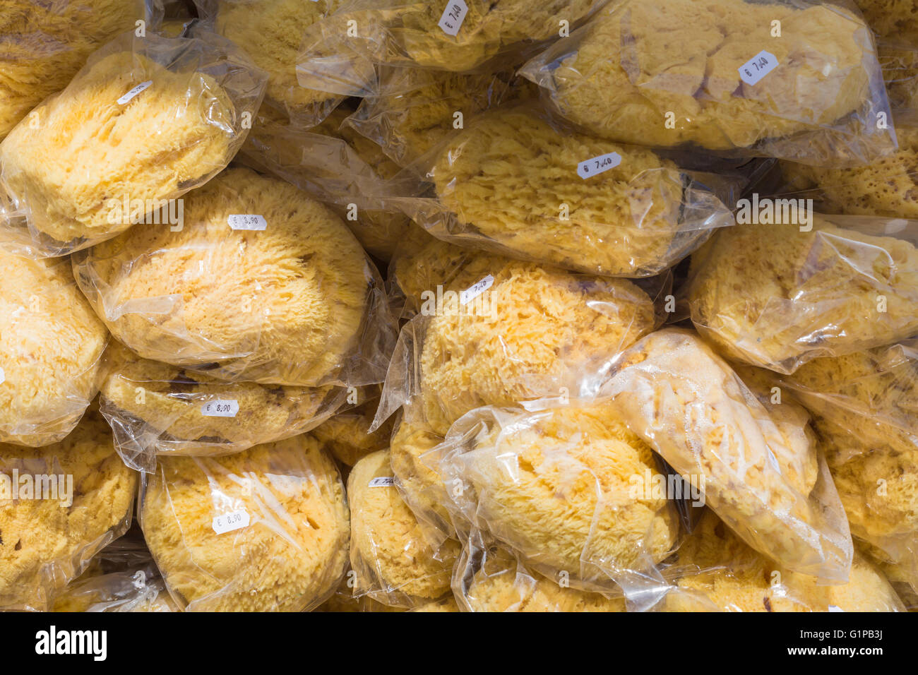 A closup of a natural sponges Stock Photo - Alamy