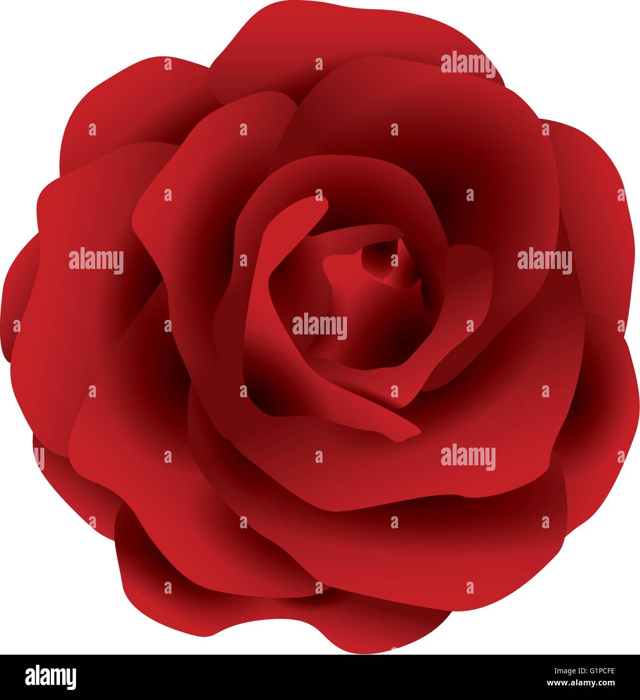 Illustration Vector Graphic Flower Rose for the creative use in graphic ...