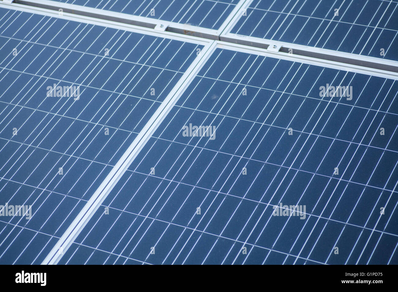 Color detail of some blue solar panels Stock Photo - Alamy
