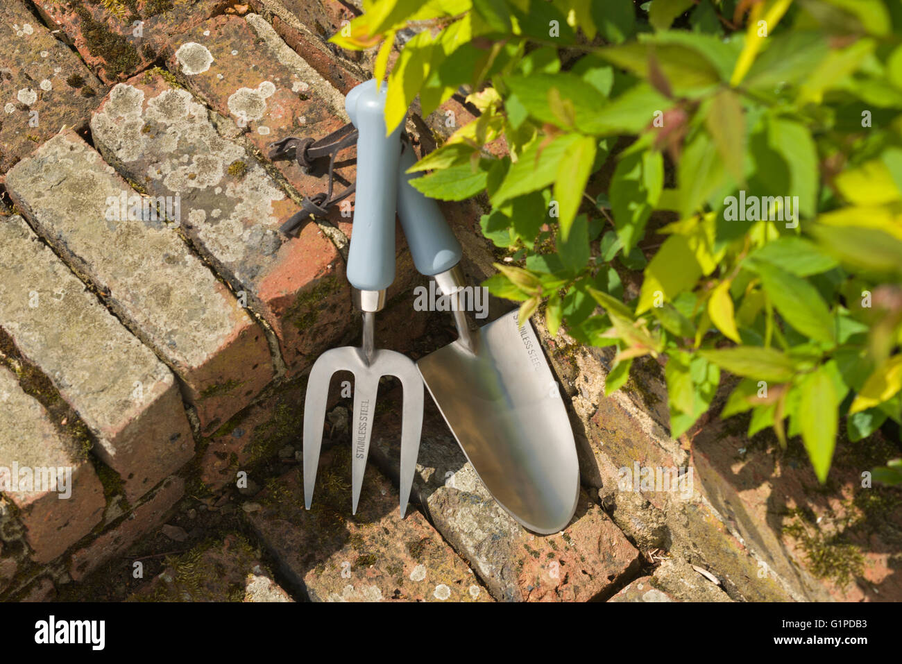 Small garden fork and trowel Stock Photo - Alamy