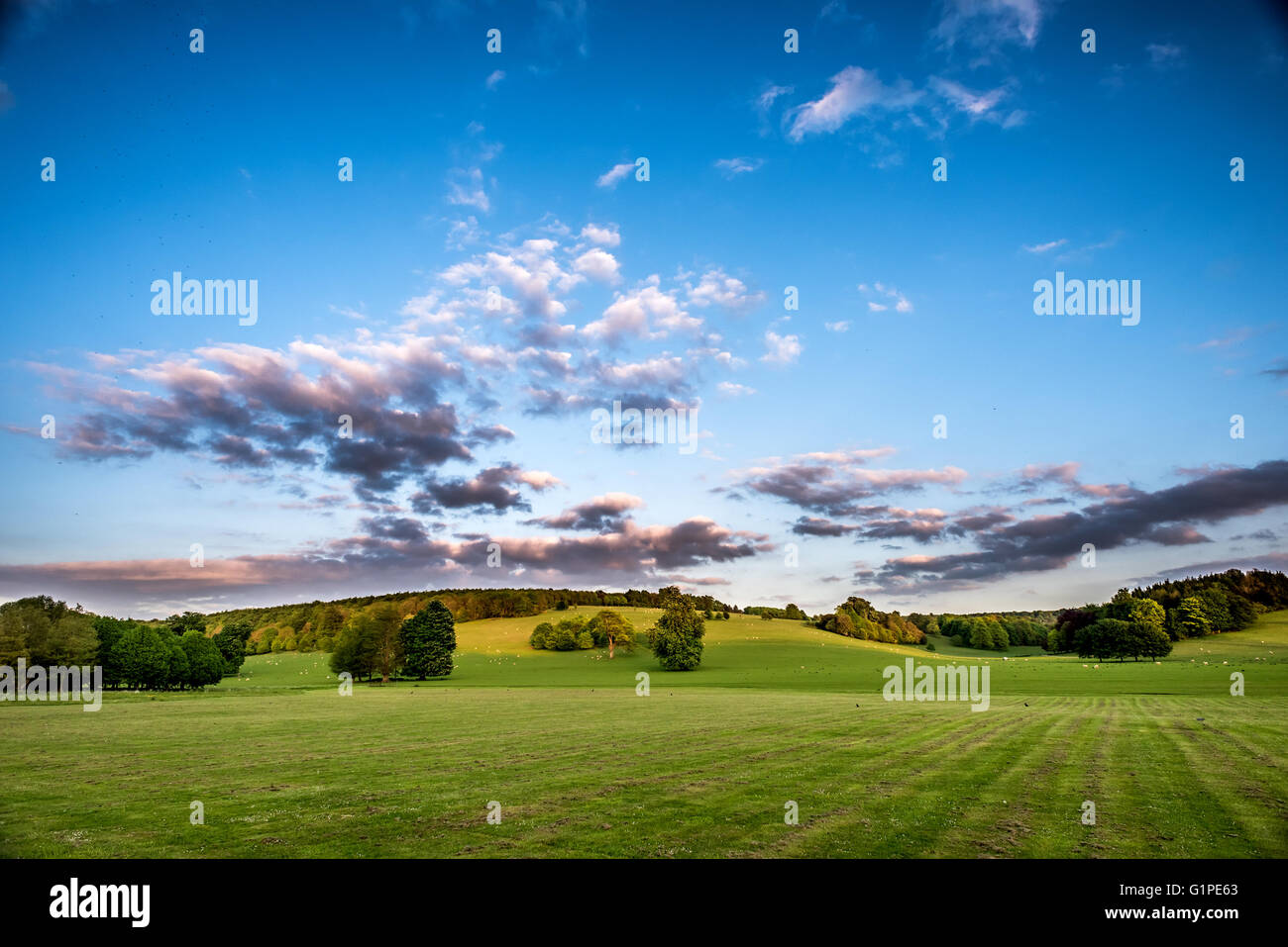 Classic view of rolling fields in southern England Stock Photo - Alamy