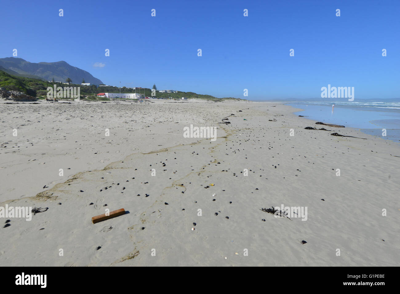 Hermanus bay beach in South Africa on the Western Cape Stock Photo - Alamy