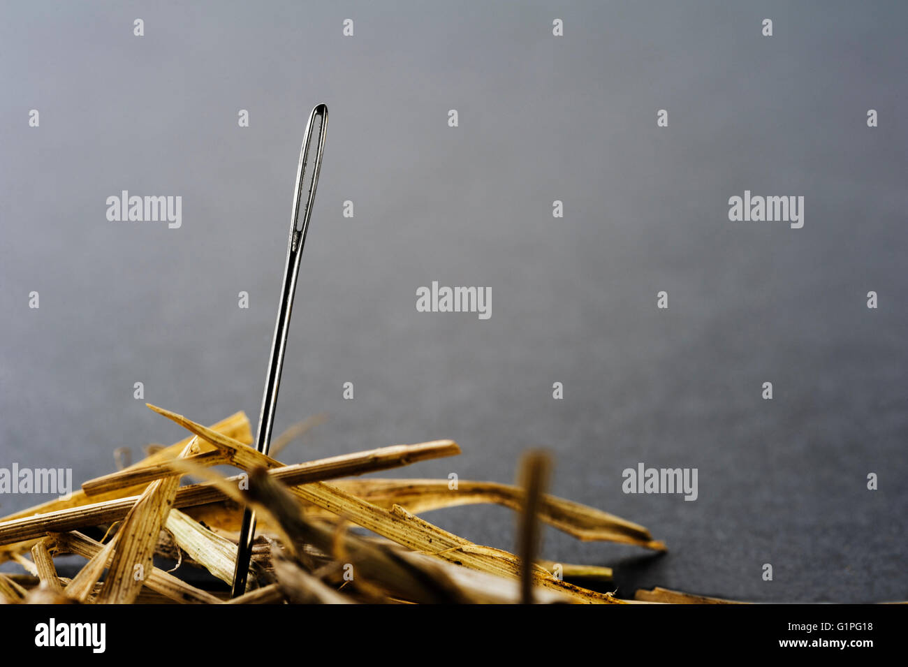 Needle In A Haystack High Resolution Stock Photography and Images - Alamy