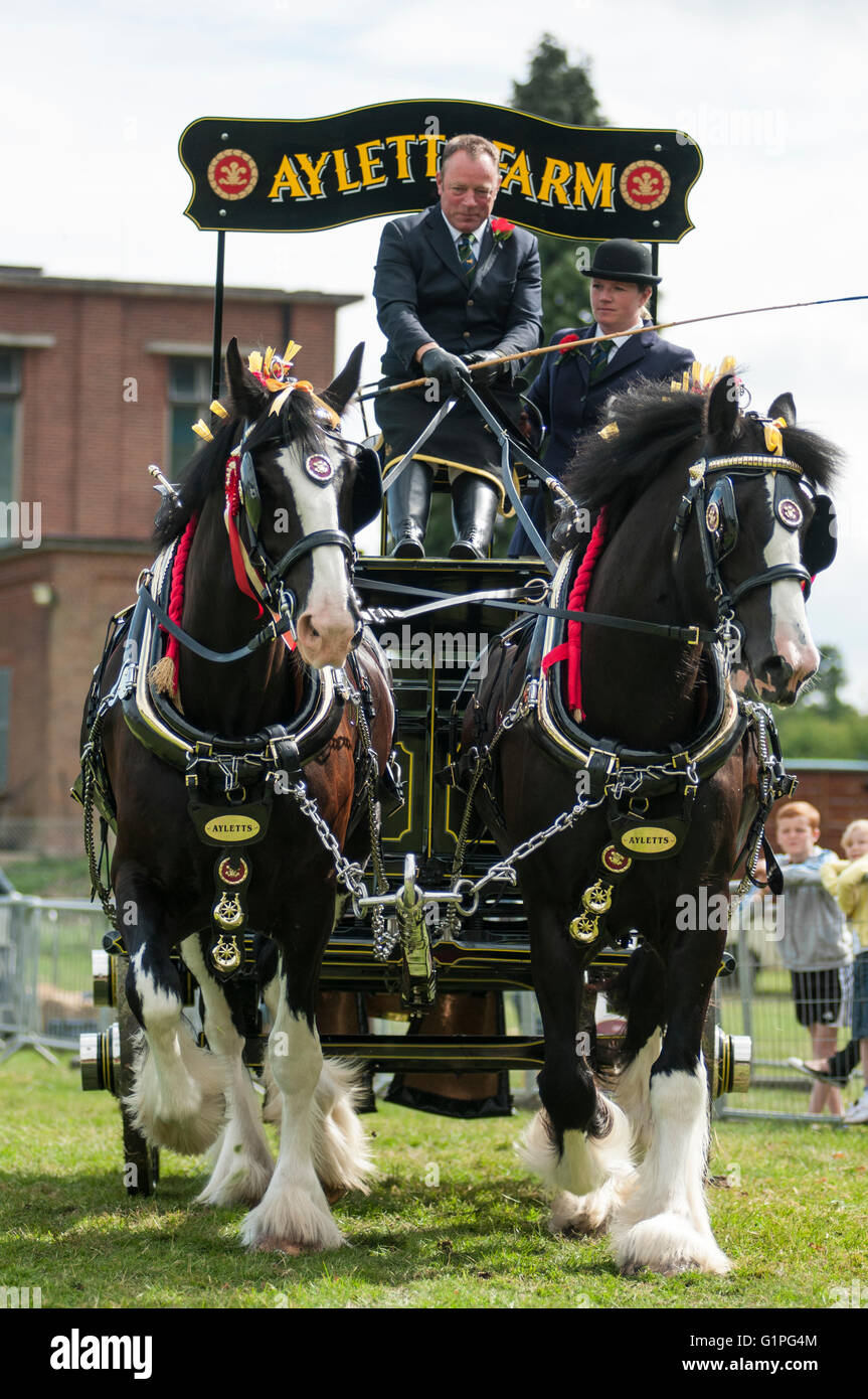 Dray cart hi-res stock photography and images - Alamy