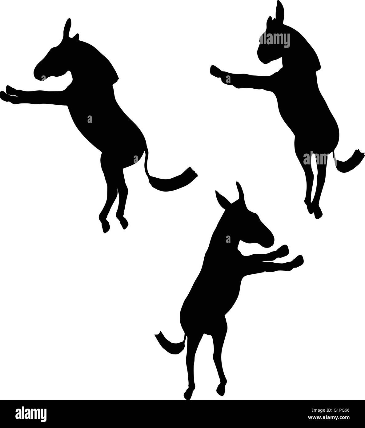 Vector Image, donkey silhouette, in buck pose, isolated on white ...