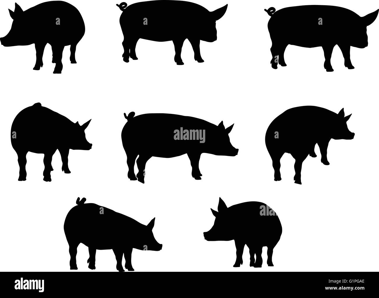 Vector Image, pig silhouette, in a standing position, isolated on white ...
