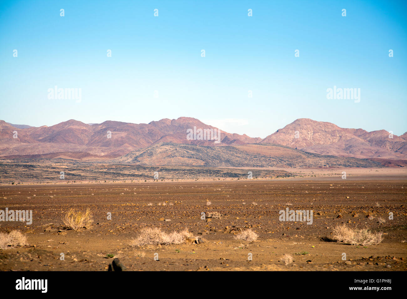 Vacation in namibia hi-res stock photography and images - Alamy