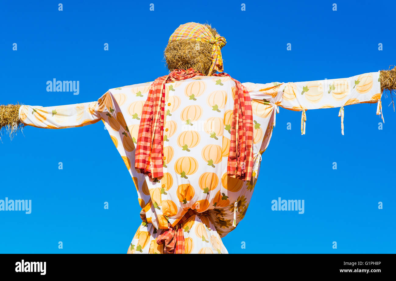 Scarecrow blue sky hi-res stock photography and images - Alamy