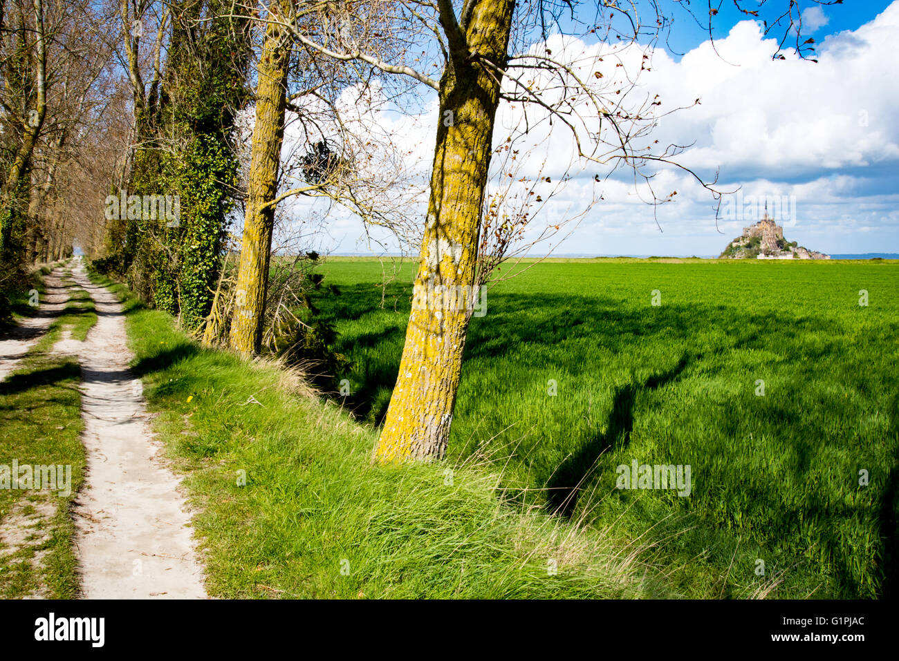 Country path in Normandy, Mont Saint Michel, Normandy, France Stock ...