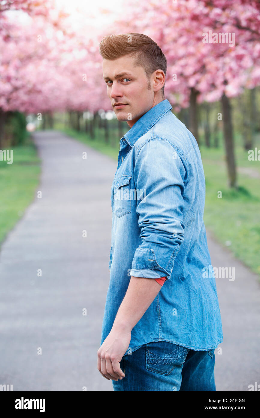 portrait of handsome man walking a path lined with cherry blossom Stock ...