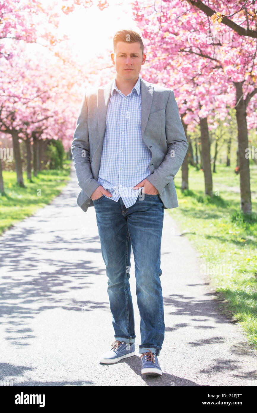 portrait of handsome man walking a path lined with cherry blossom Stock ...