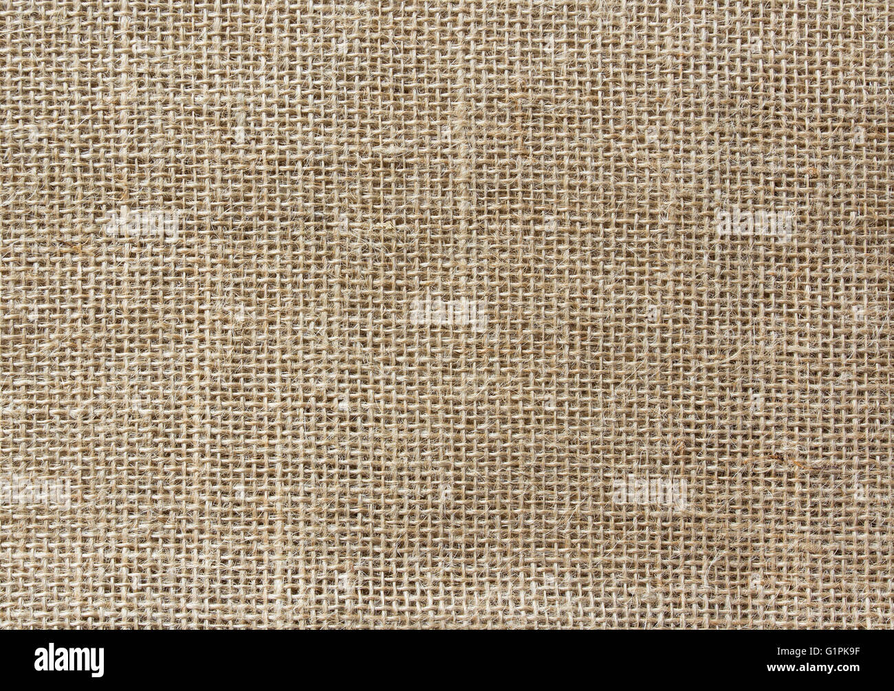 Real flax hi-res stock photography and images - Alamy