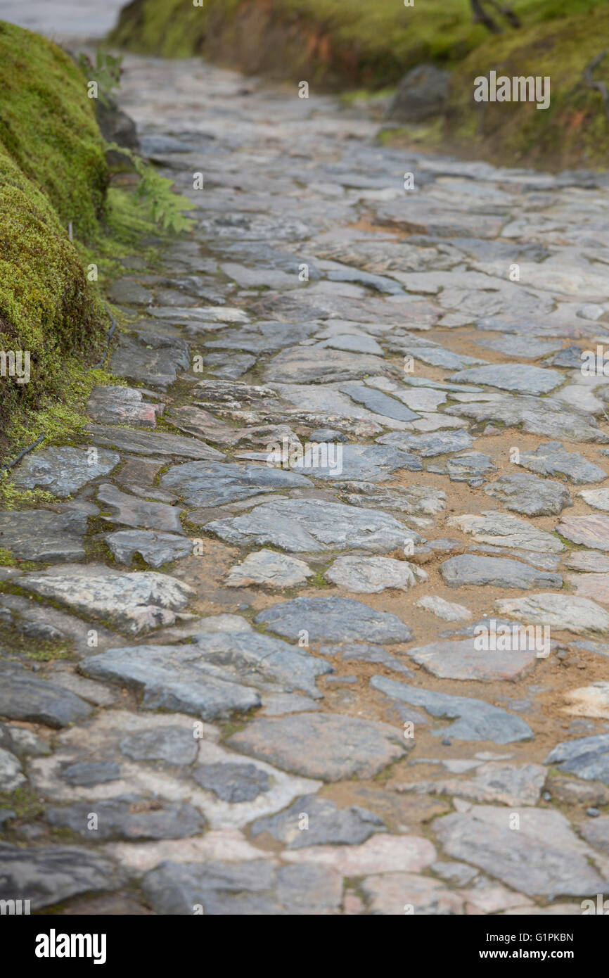 Stone pavement at Japanese garden Stock Photo - Alamy