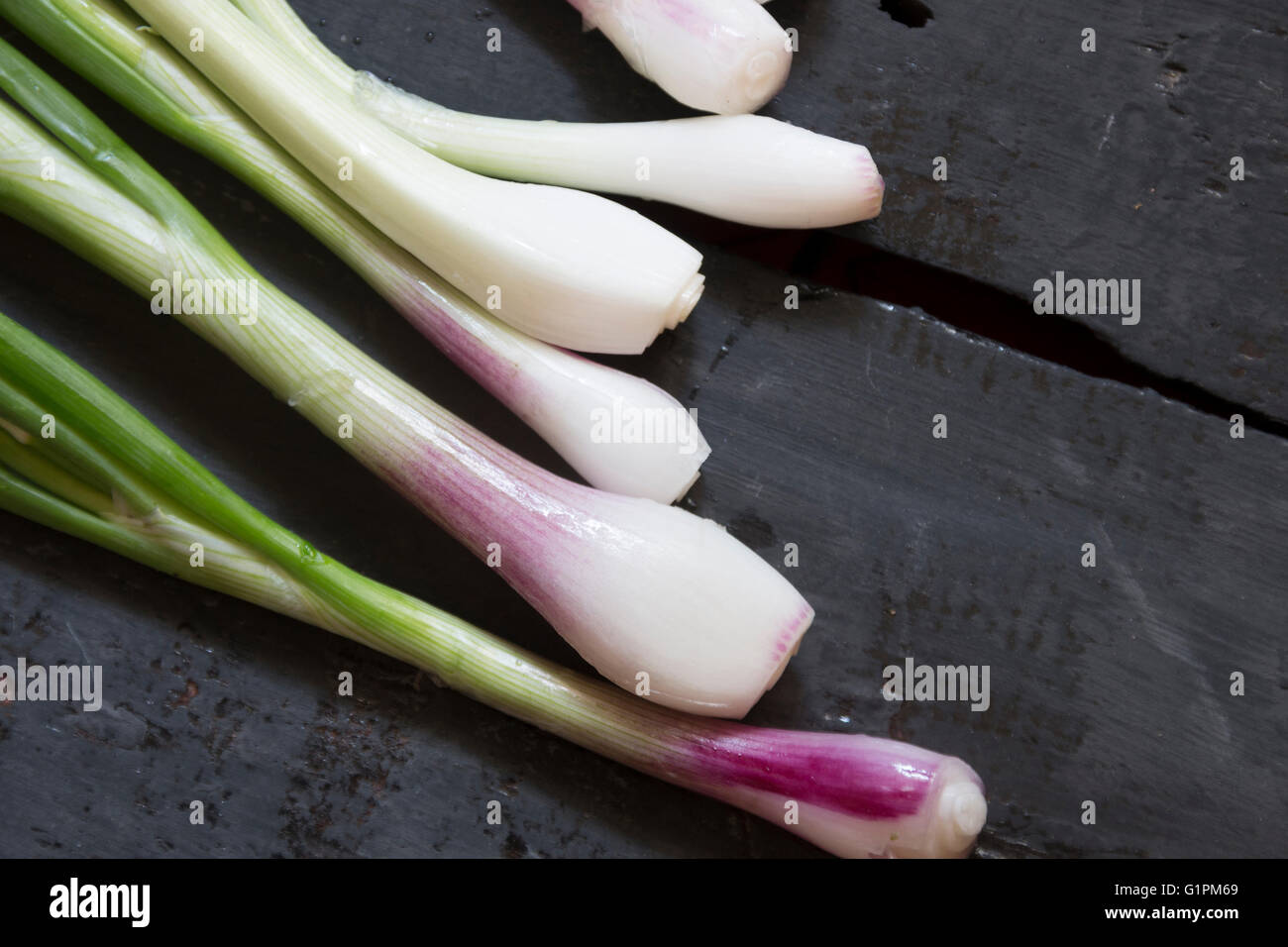 Spring cook hi-res stock photography and images - Alamy