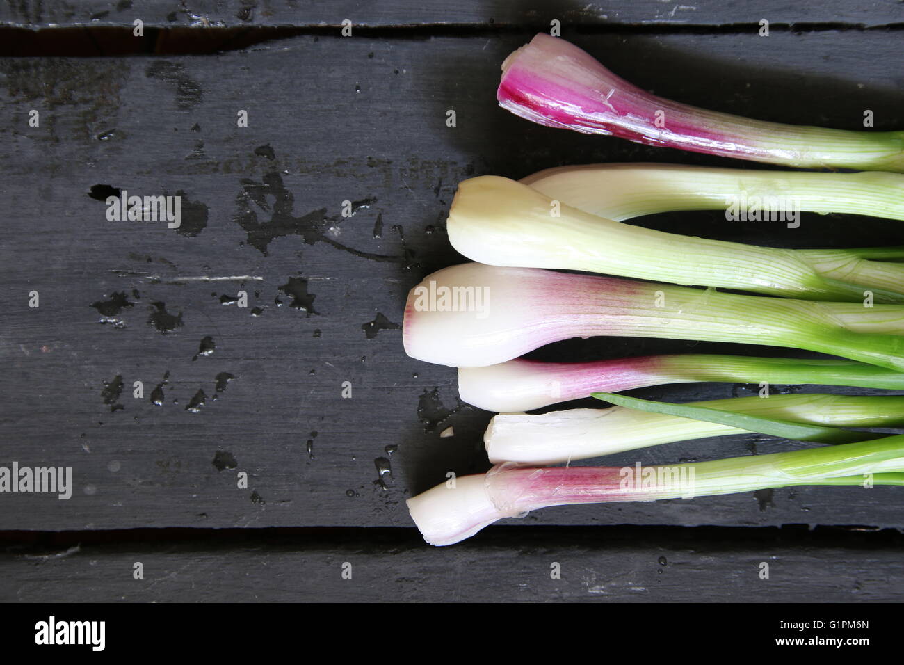 Spring onion group hi-res stock photography and images - Alamy