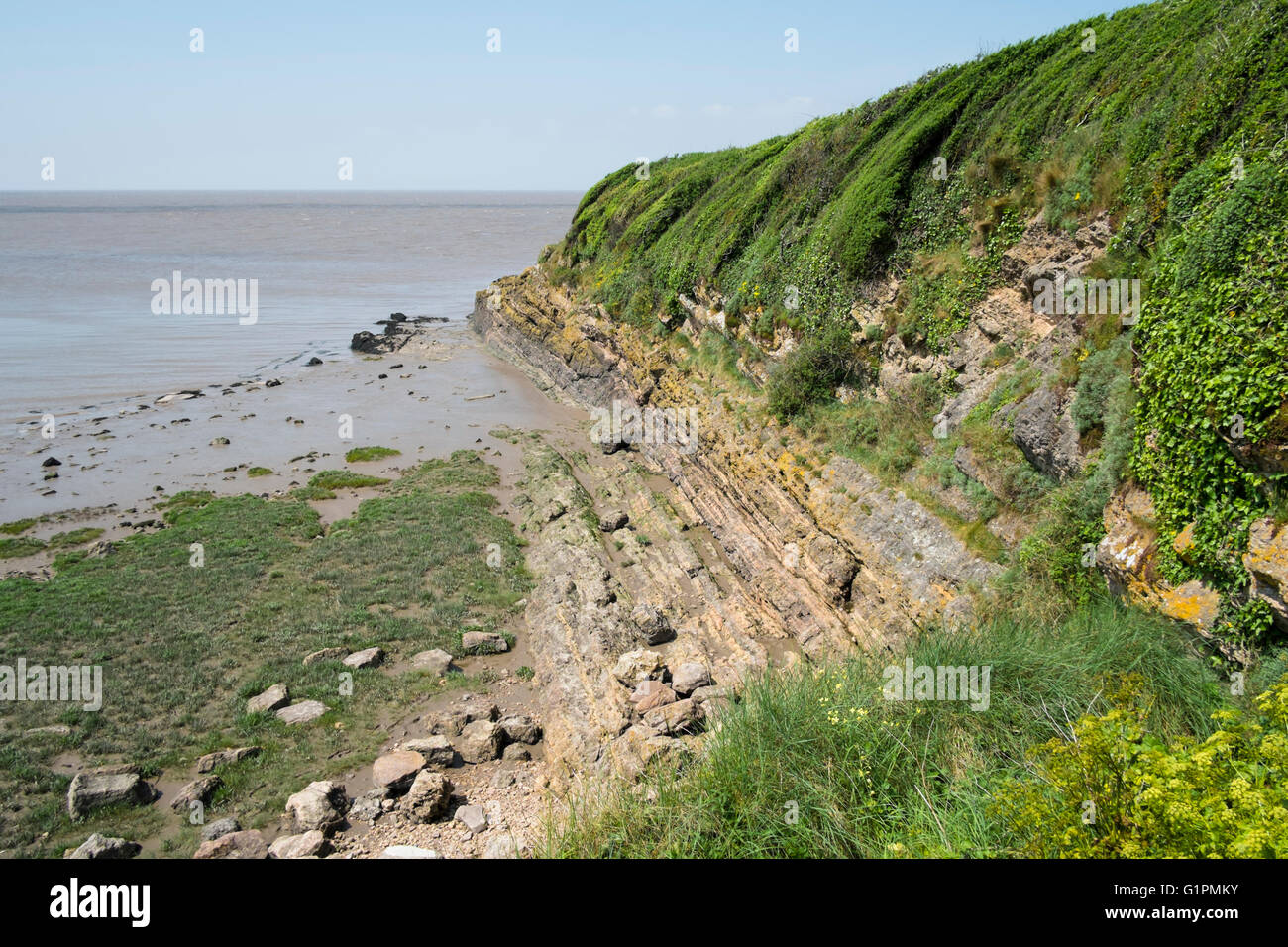 Portishead Somerset England The cliffs beneath battery point Stock ...