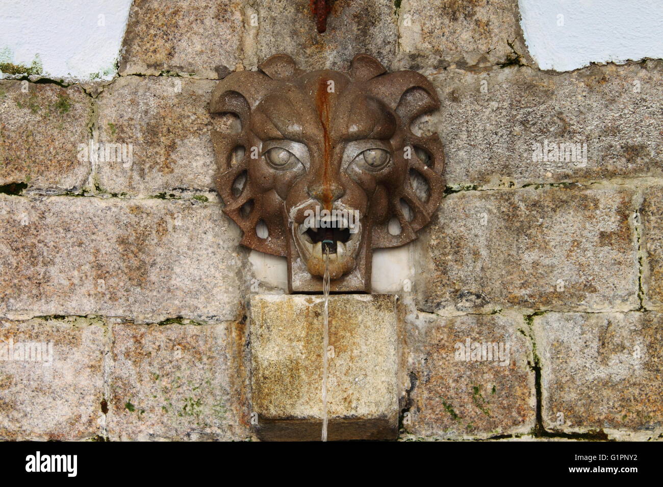 Medieval wall fountain with gargoyle spitting water Stock Photo - Alamy