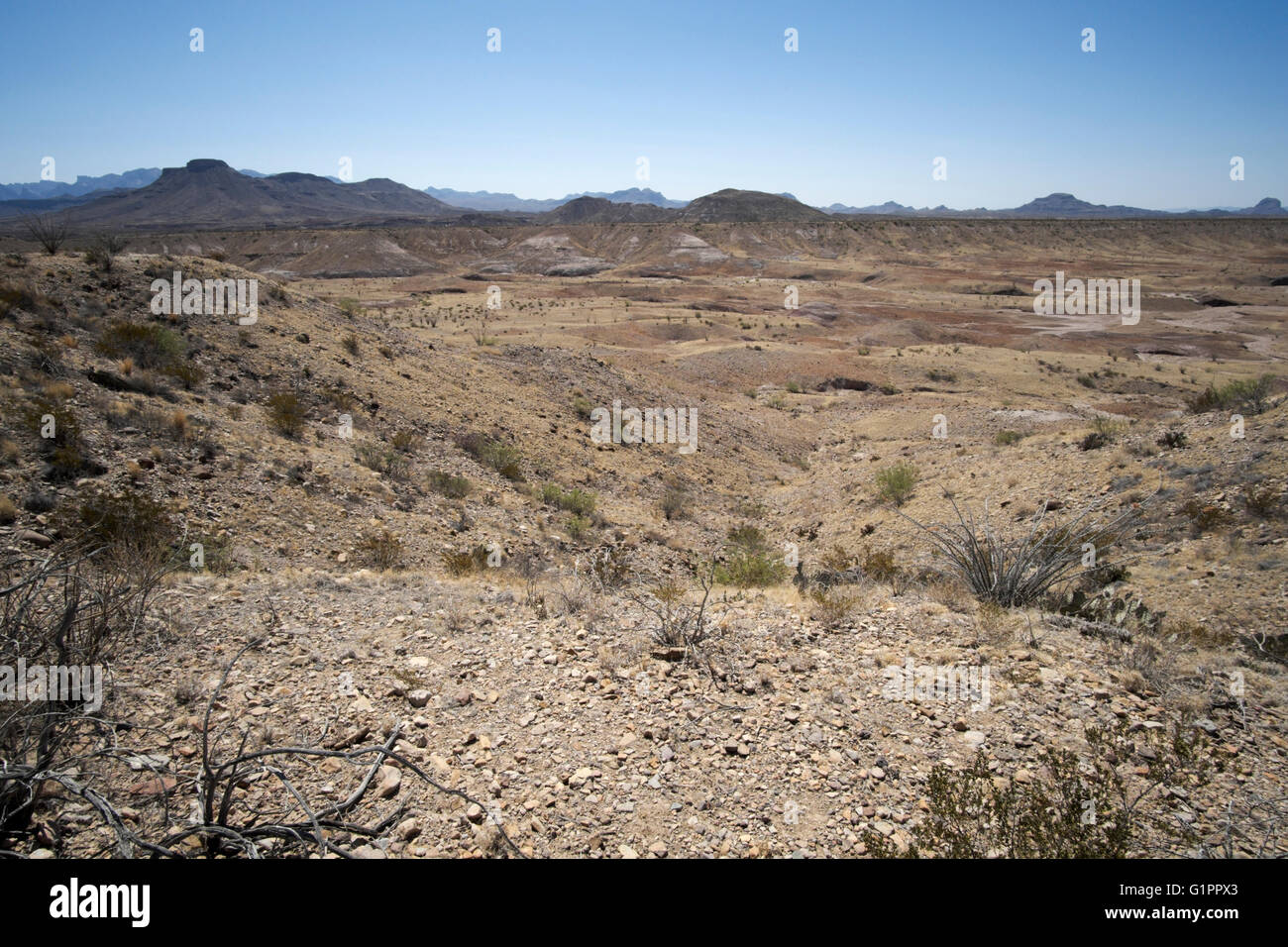 desert wash or gully as seen from the Ross Maxwell Scenic Drive near ...