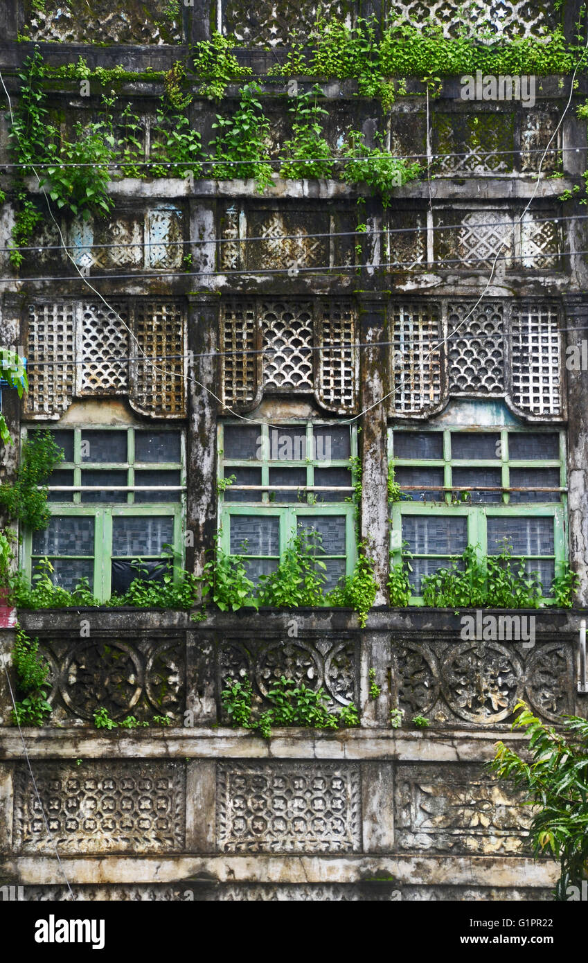Weeds and mildew growing on the side of a building in downtown Yangon ...