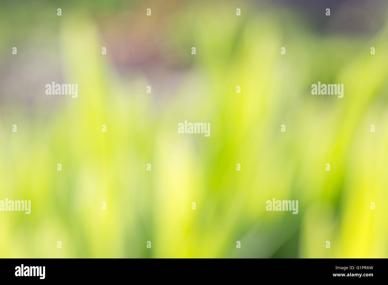 Abstract natural backgrounds for hi-res stock photography and images ...