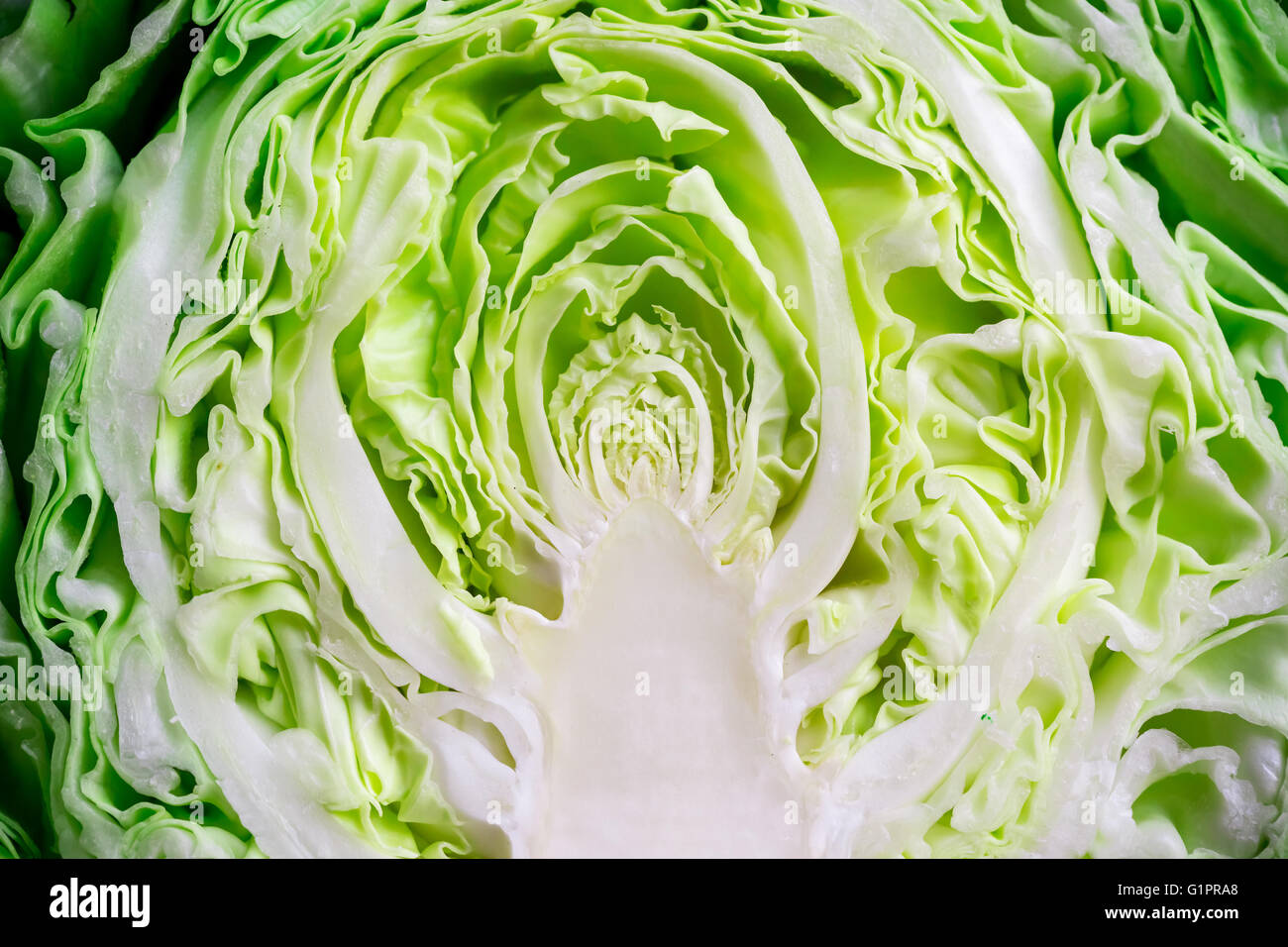 young cabbage. To cut a young cabbage. Green cabbage. To cook food ...